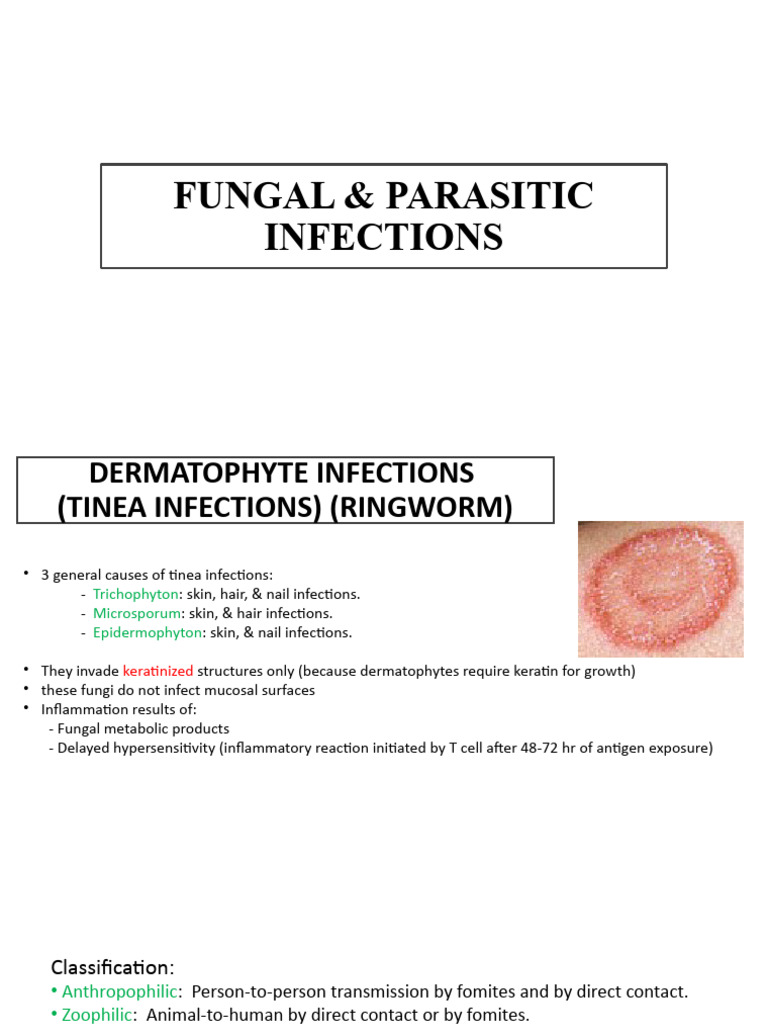 Fungal & Parasitic Infestations of the Skin | PDF | Epidemiology ...