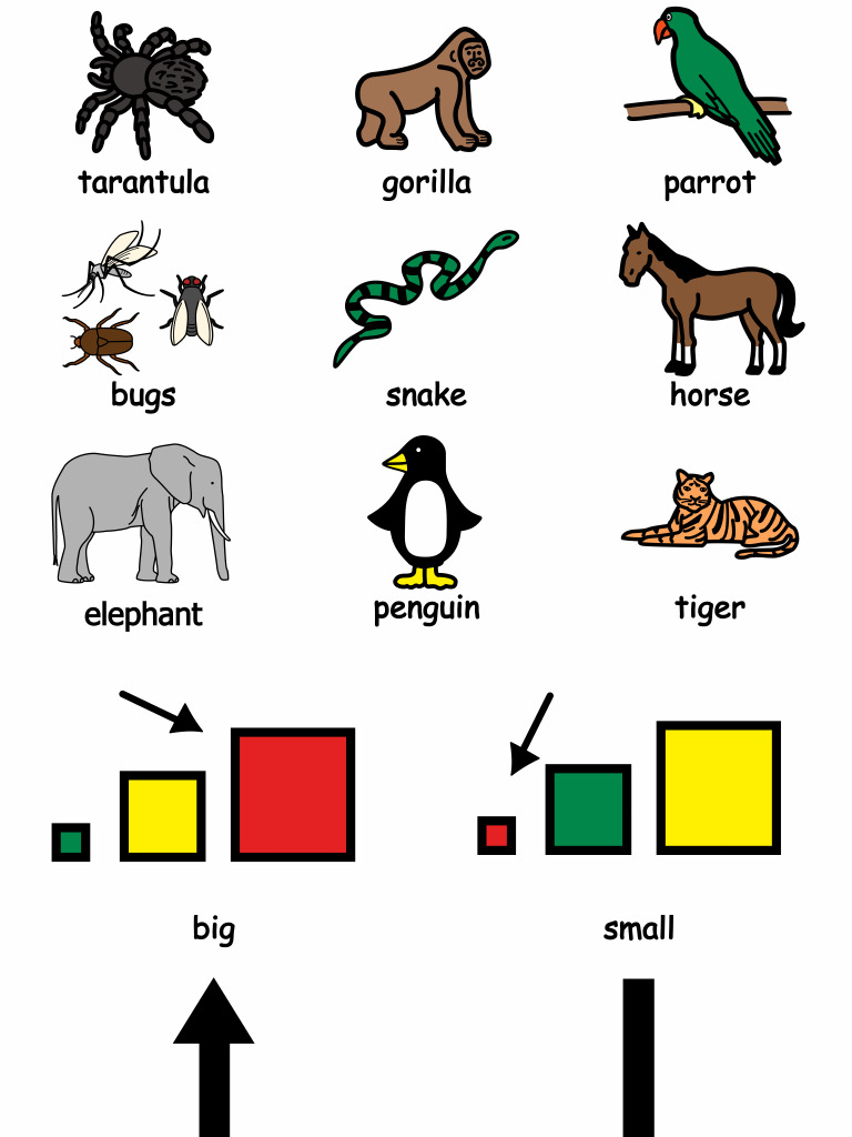 Boardmaker To Print Rainforest Composition | PDF