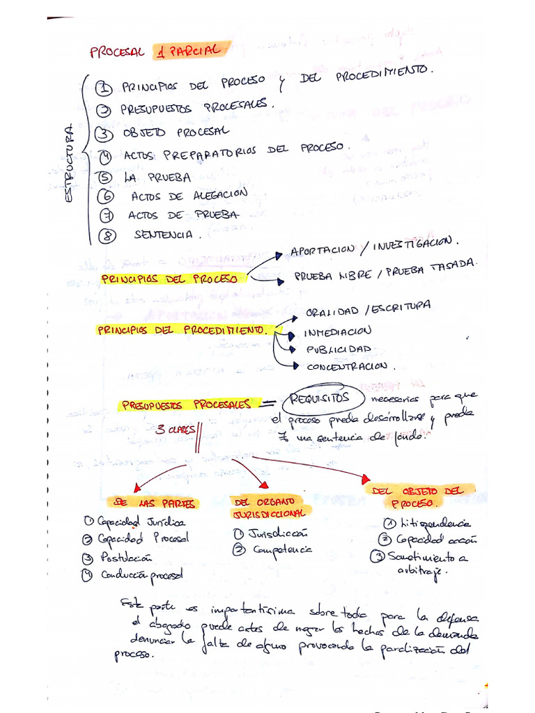Esquemas Procesal Primer Parcial | PDF