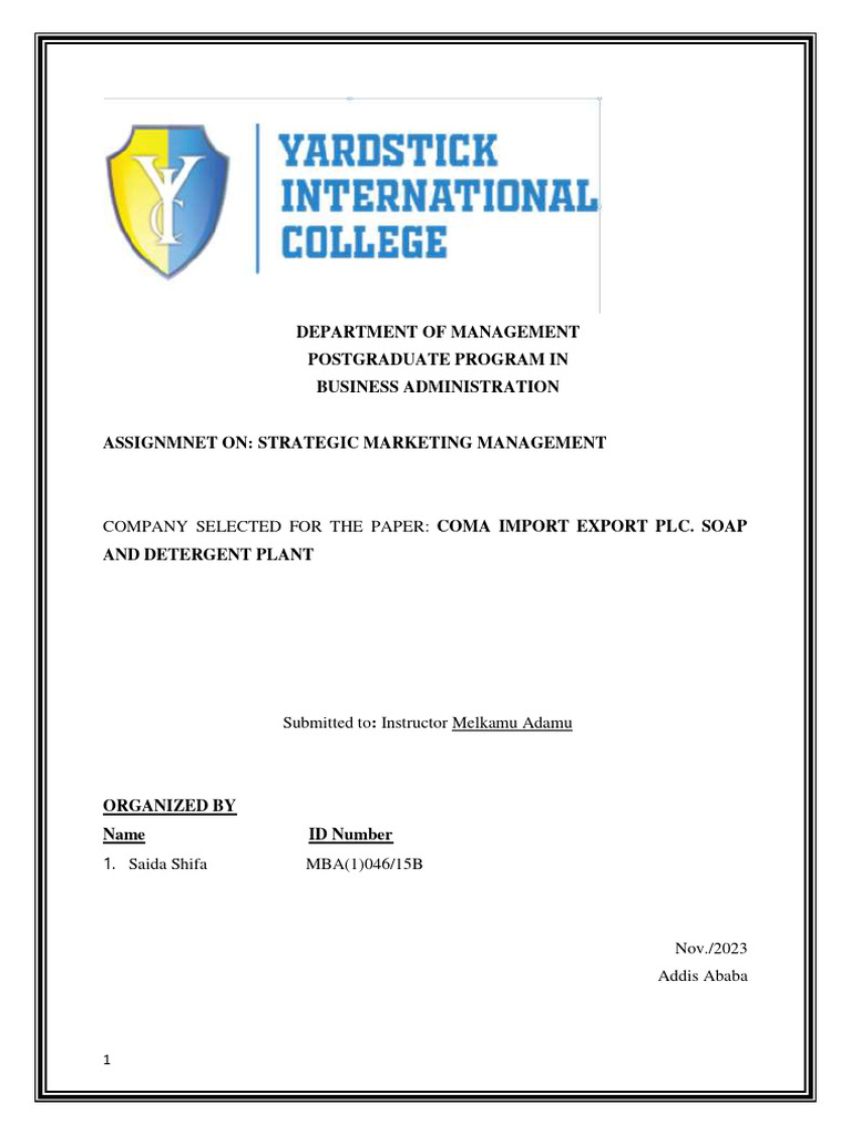 Marketing Assignment | PDF | Market Segmentation | Marketing