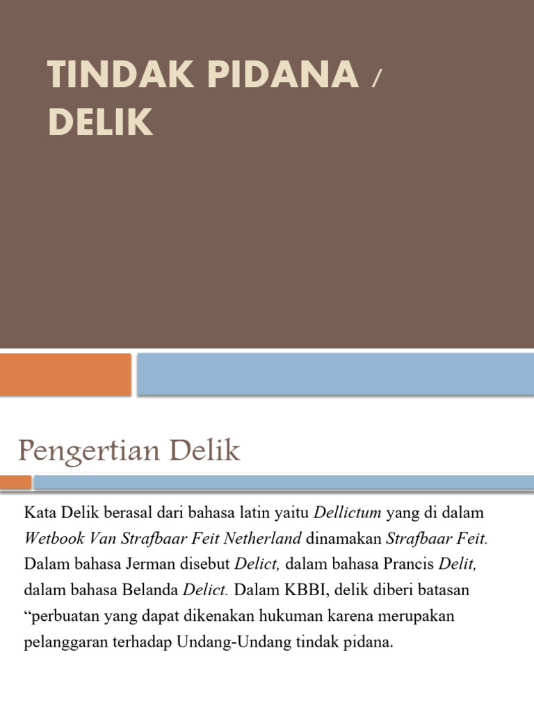Delik Hukum Pidana | PDF