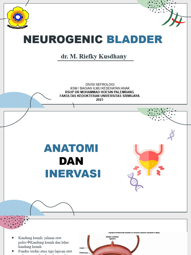 Neurogenic Bladder | PDF