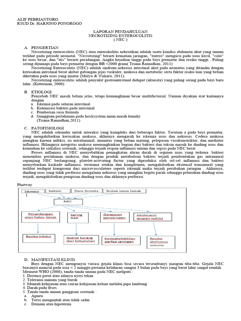 Alif - LP Nec Rev2 | PDF