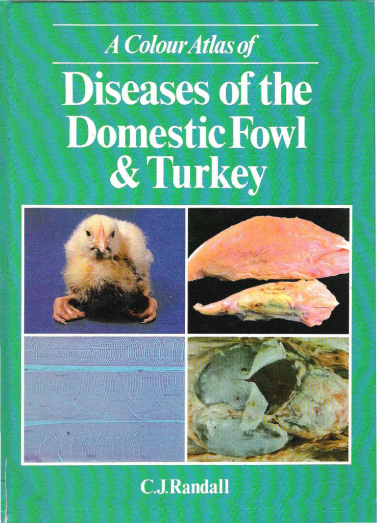 Atlas Diseases Domestic Fowl | PDF | Inflammation | Necrosis