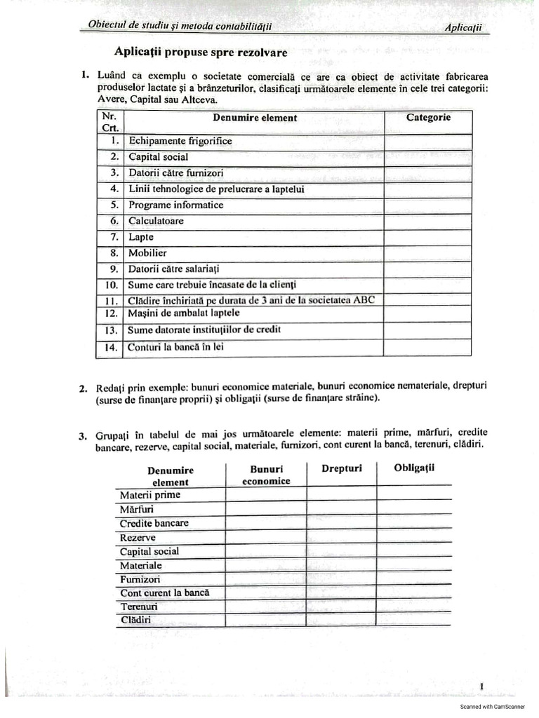 Aplicații - Cap 1 Contabilitate | PDF
