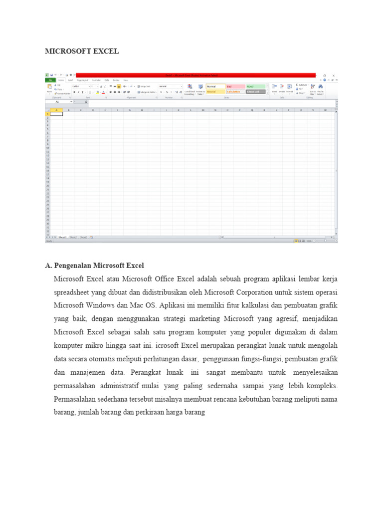 Panduan Dasar Microsoft Excel untuk Pemula | PDF
