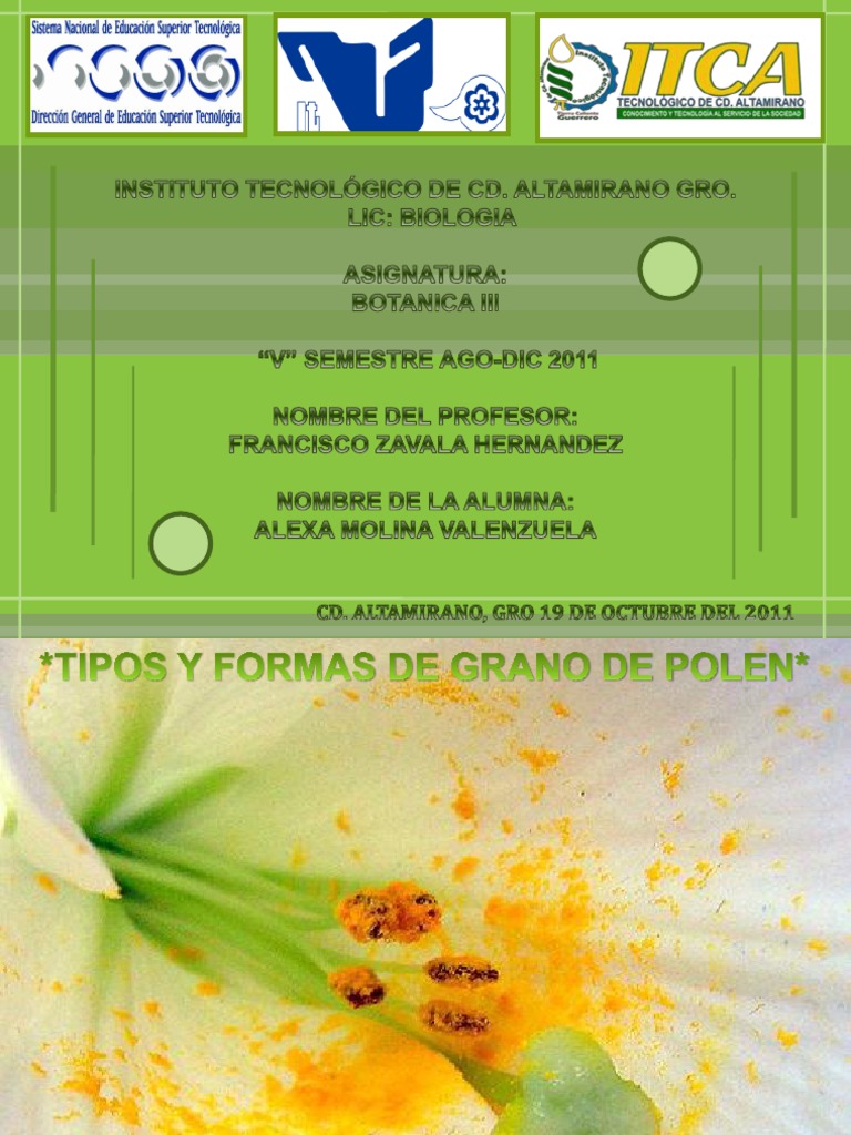 Tipos de Polen y Hojas en Botánica | PDF | Polen | Hoja