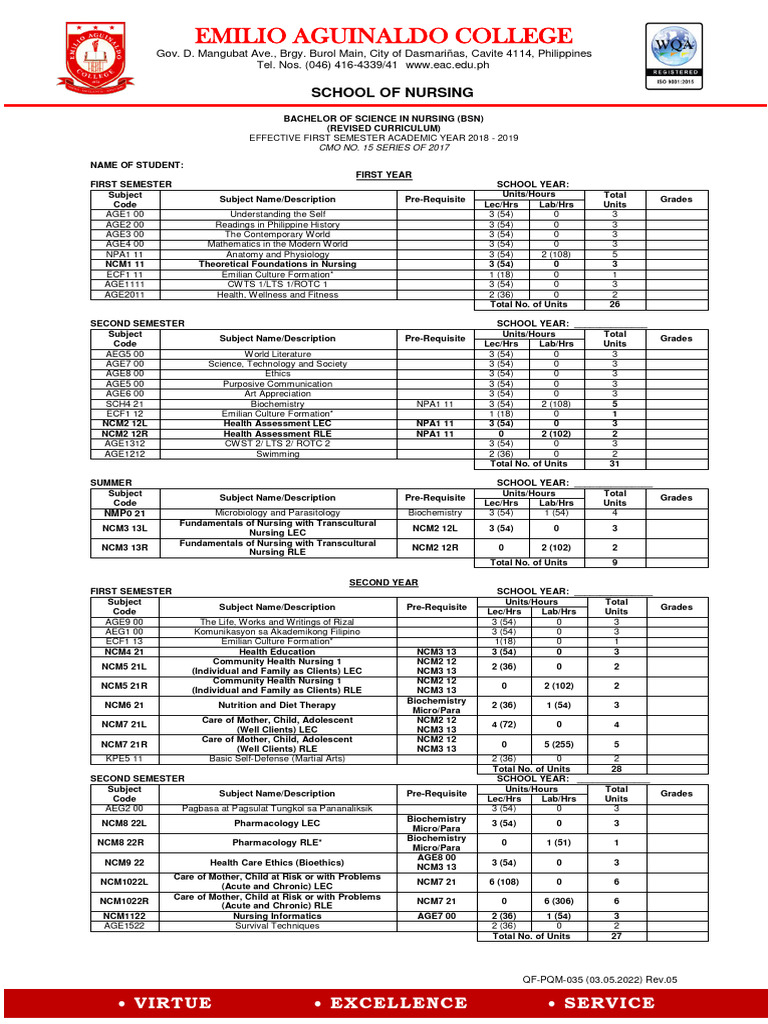 BSN-Curriculum-Template | PDF | Nursing | Chronic Condition