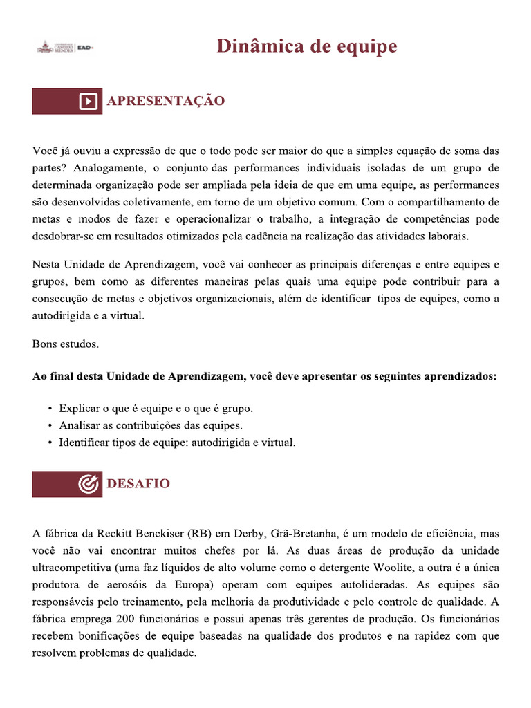 Dinâmica de Equipe 6 | PDF