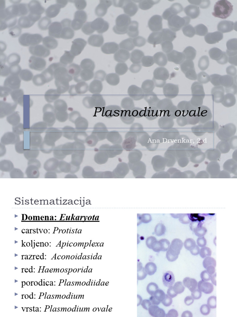Plasmodium Ovale | PDF