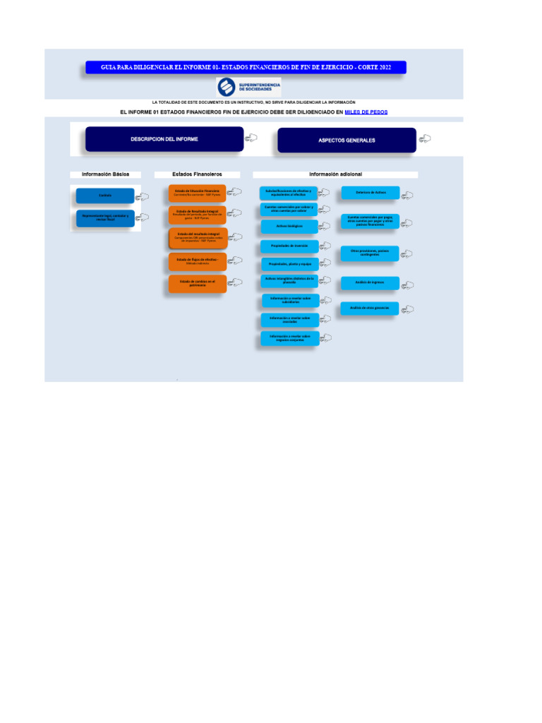 Instructivo EE FF Pymes Consolidado 2022 | PDF