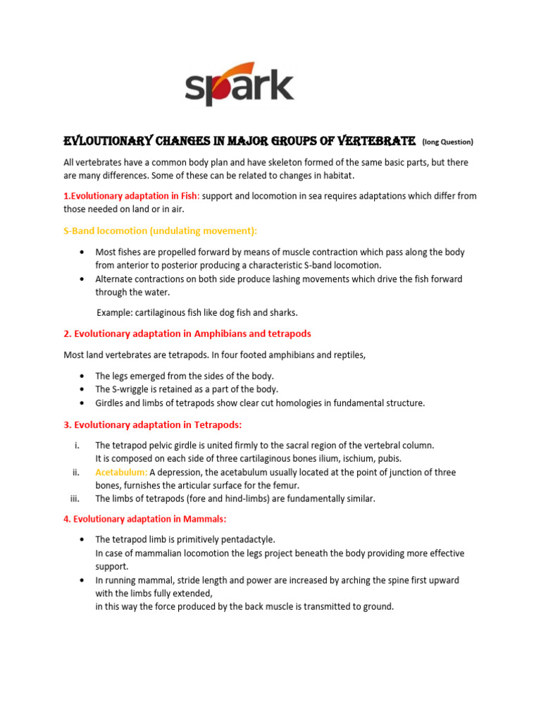 Vertebrate Evolutionary Adaptations | PDF