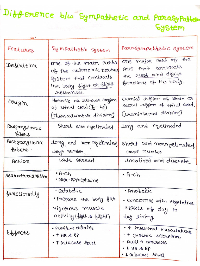 Difference Between Sympathetic and Parasympathetic System | PDF Difference Between Sympathetic and Parasympathetic System | PDF