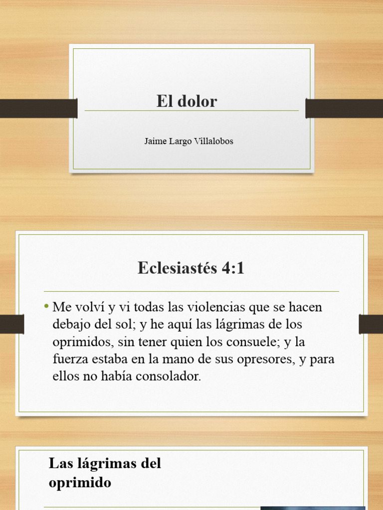 El Dolor | PDF | Libro de trabajo | Eclesiastés