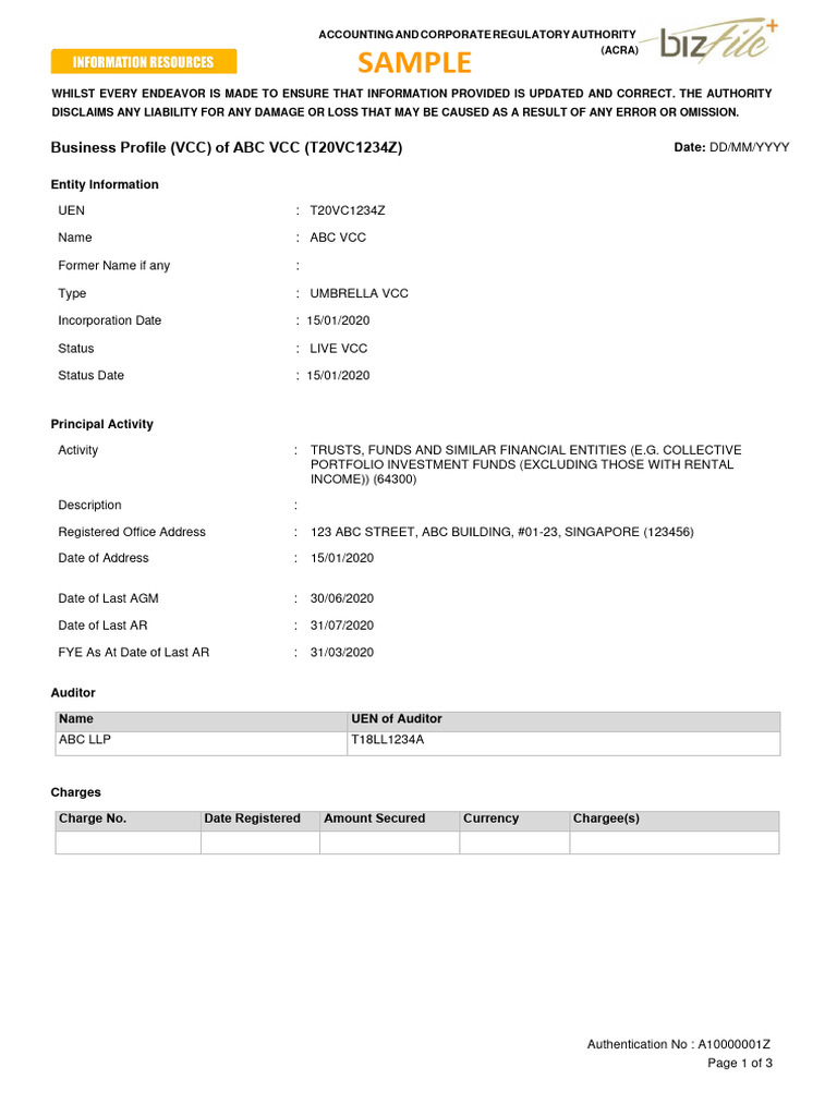 ABC VCC Business Profile | PDF | Business | Economies