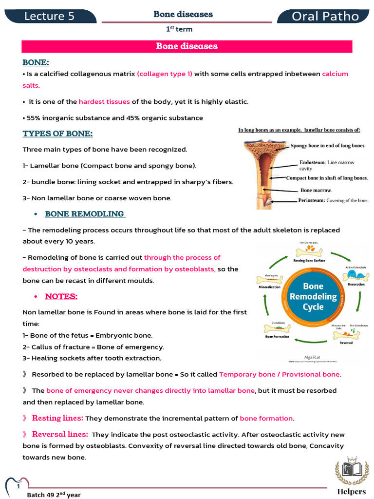 Bone Diseases | PDF | Bone | Anatomy