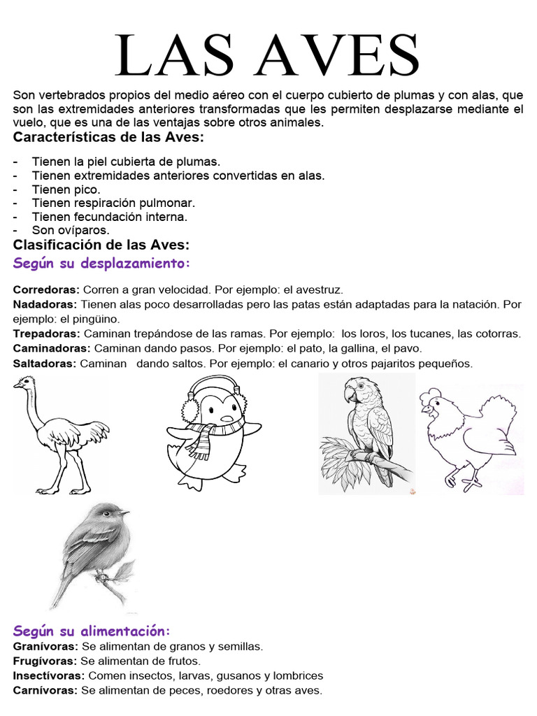 Las Aves | PDF