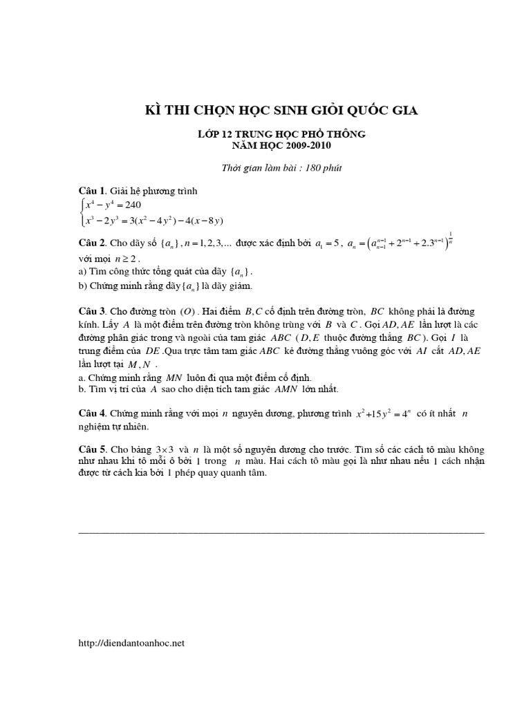 Dethi VMO 2010 | PDF