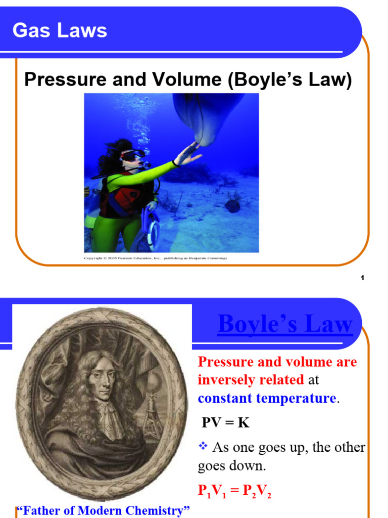 BOYLES | PDF | Gases | Breathing