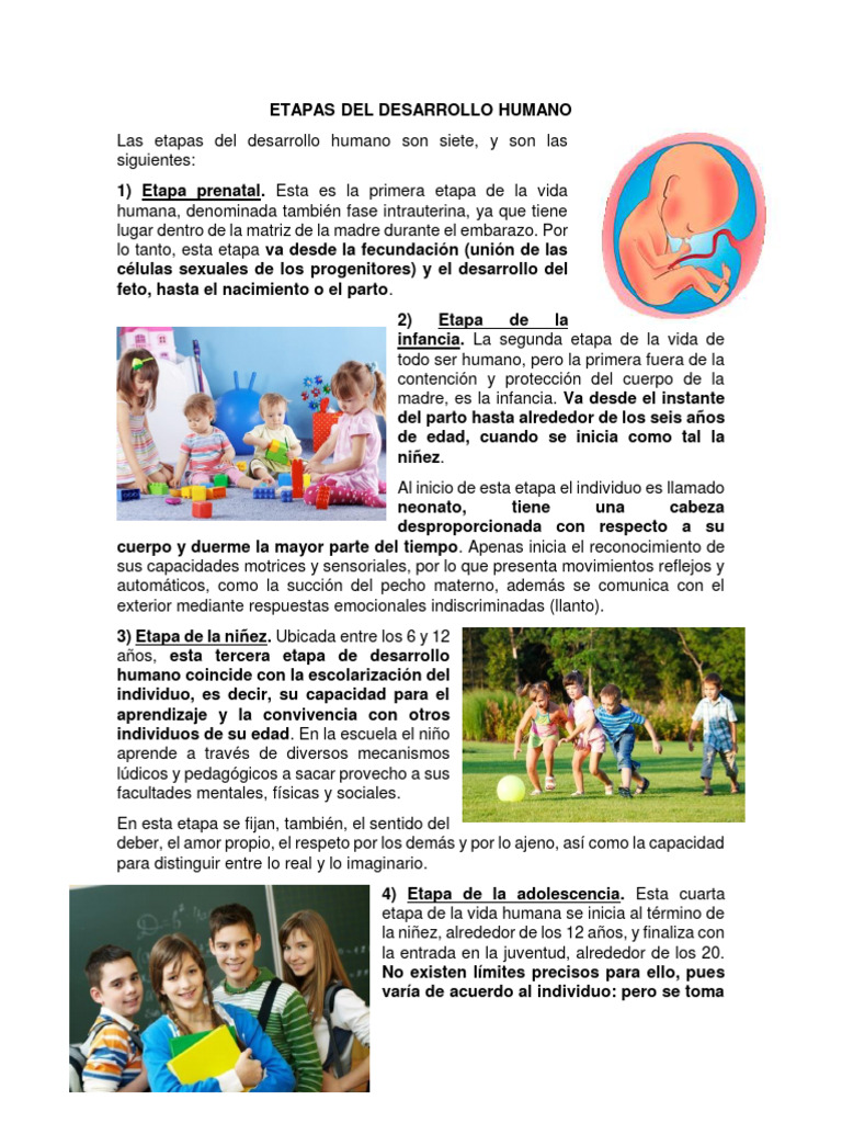 Desarrollo Humano | PDF | Adultos | Juventud