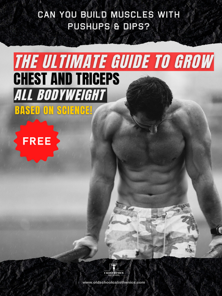 Free Guide On Pushup and Dips Muscle Activation | PDF