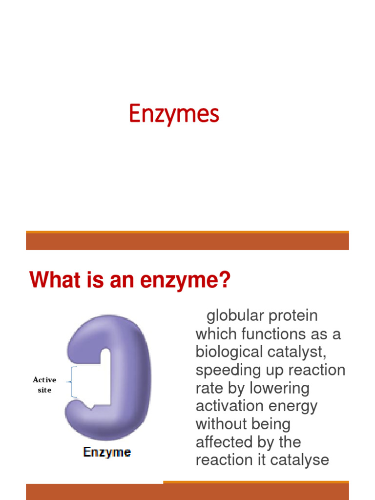 Protein III | PDF | Enzyme | Enzyme Inhibitor