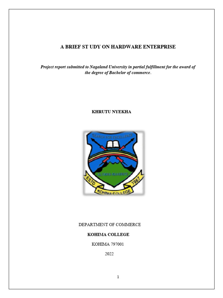 Study of Hardware Enterprise in Chozuba | PDF | Hardware Store | Retail