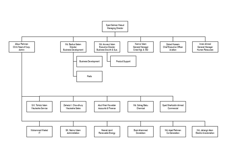 Organization Chart - Dana Group | PDF