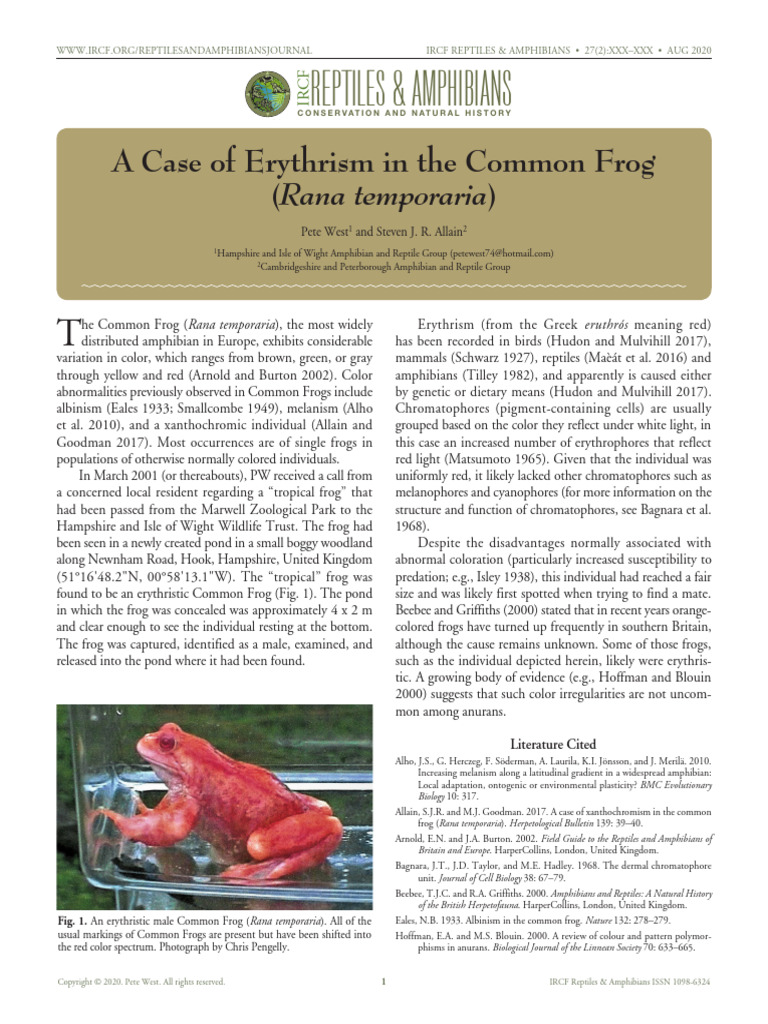 Erythrism in Common Frog Observed | PDF | Herpetology | Zoology
