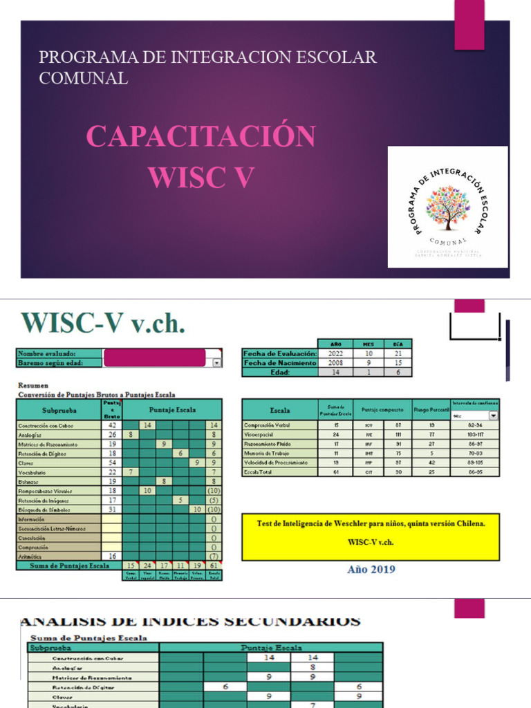 Wisc V | PDF