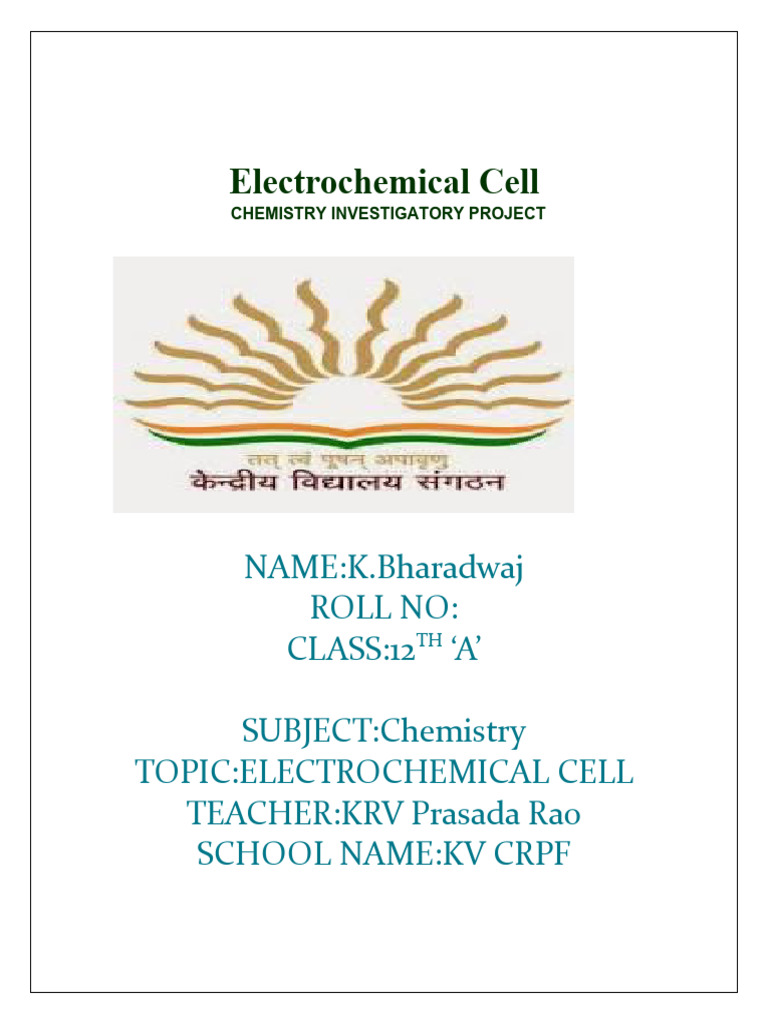 Electrochemical Cell | PDF | Electrochemistry | Redox