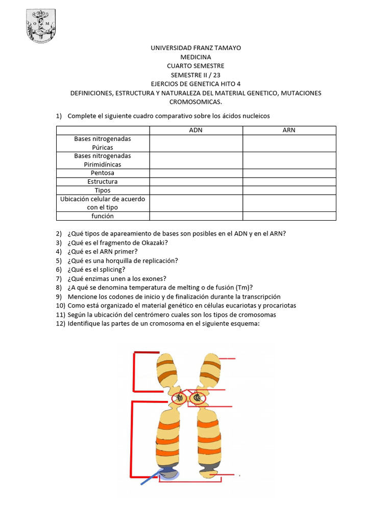 Ejercicios Genetica | PDF | Cromosoma | Rna
