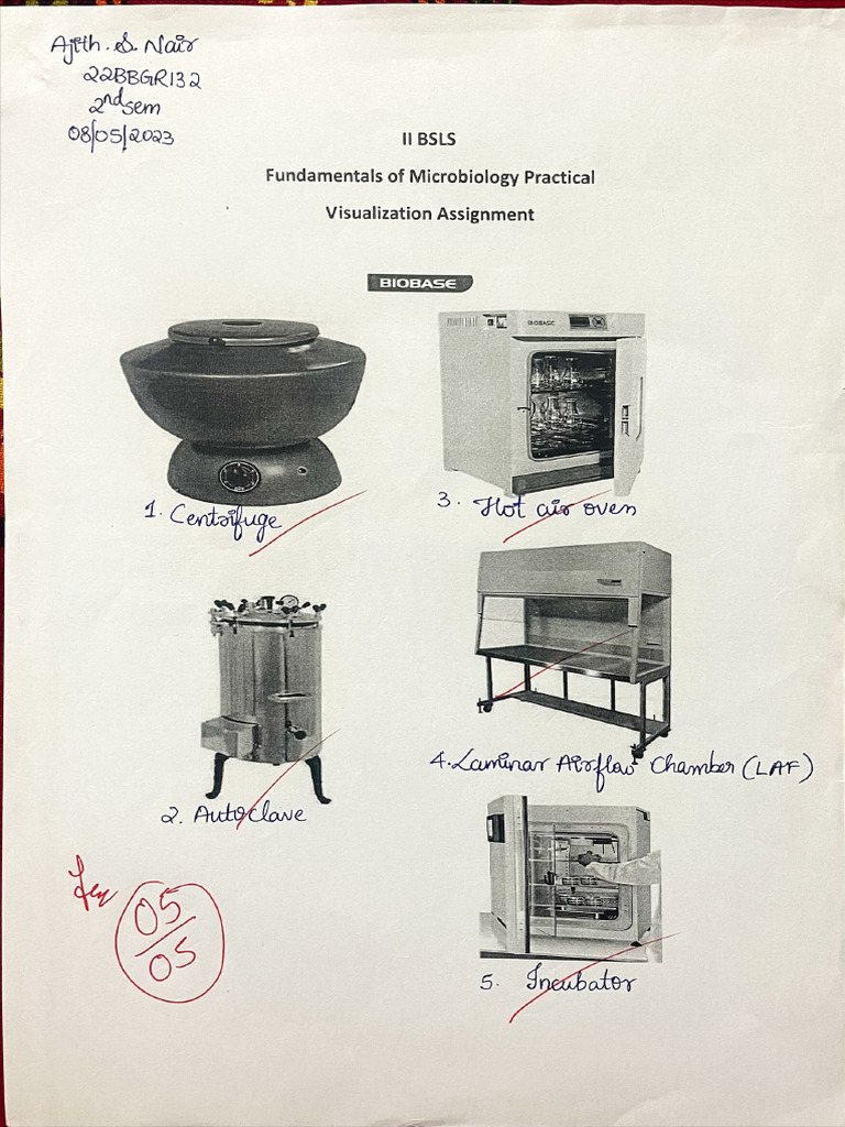 Microbiology Visualisation | PDF