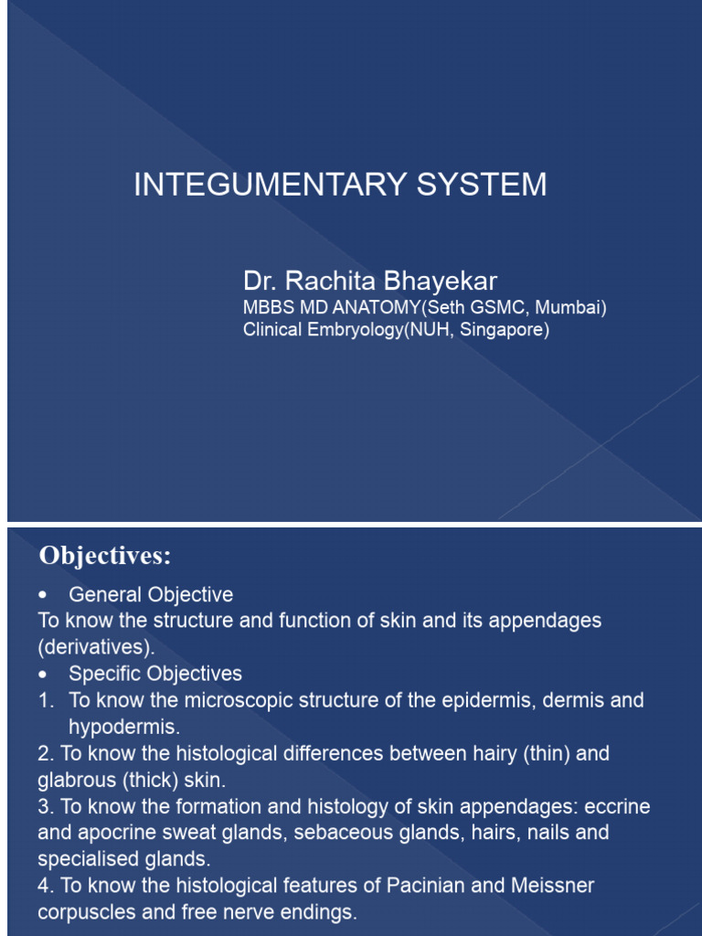 skin | PDF | Skin | Epidermis