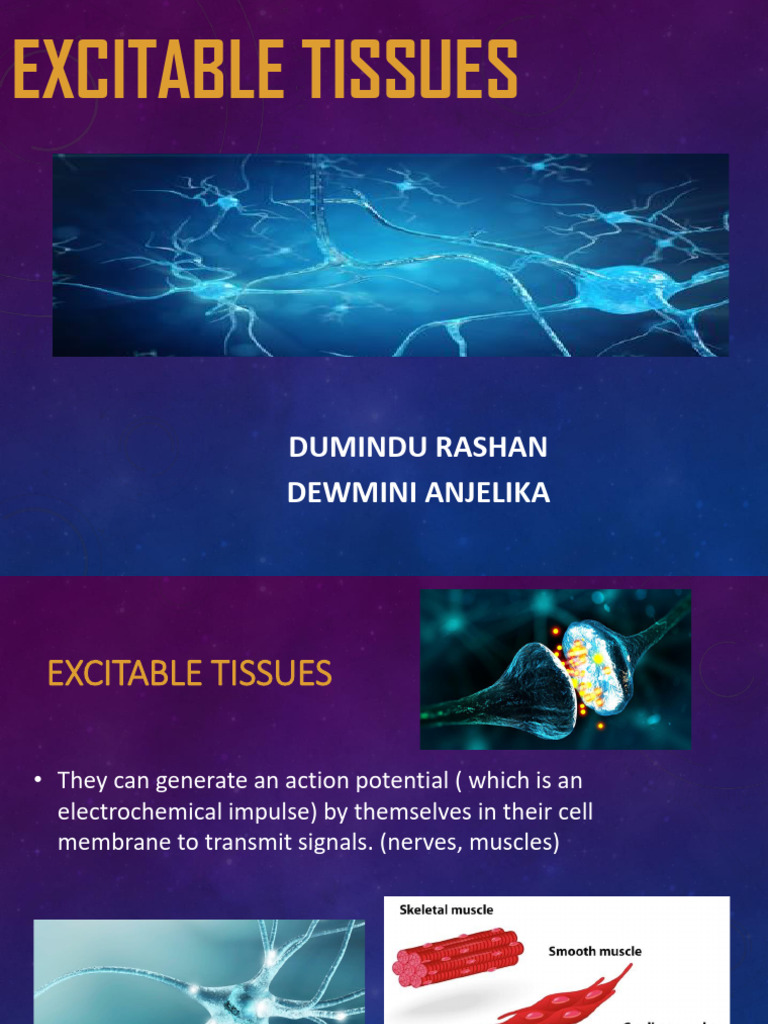 Excitable Tissues - Pre Med Class | PDF | Social Science | Teaching ...