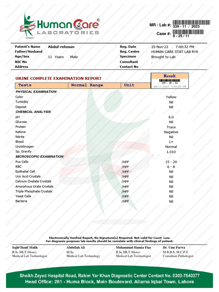 Urine Complete | PDF