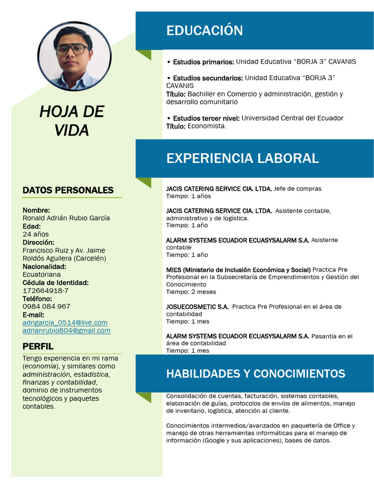 CV Ronald Rubio | PDF | Contabilidad | Economias