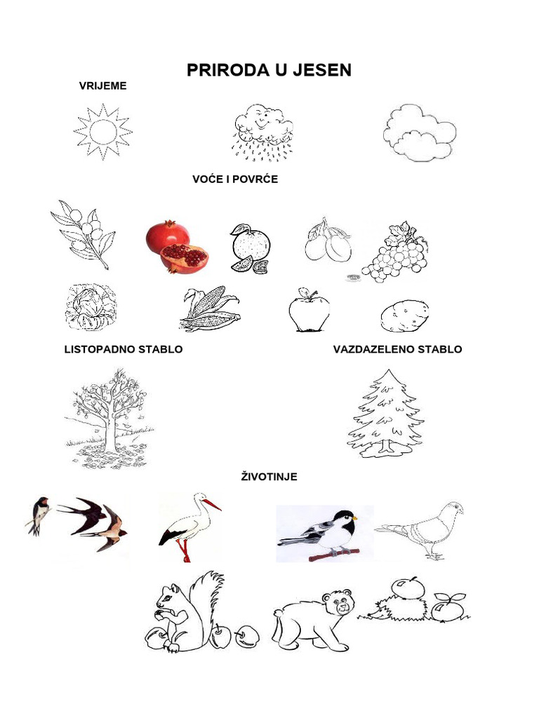 1R-PRIRODA U JESEN Listić | PDF