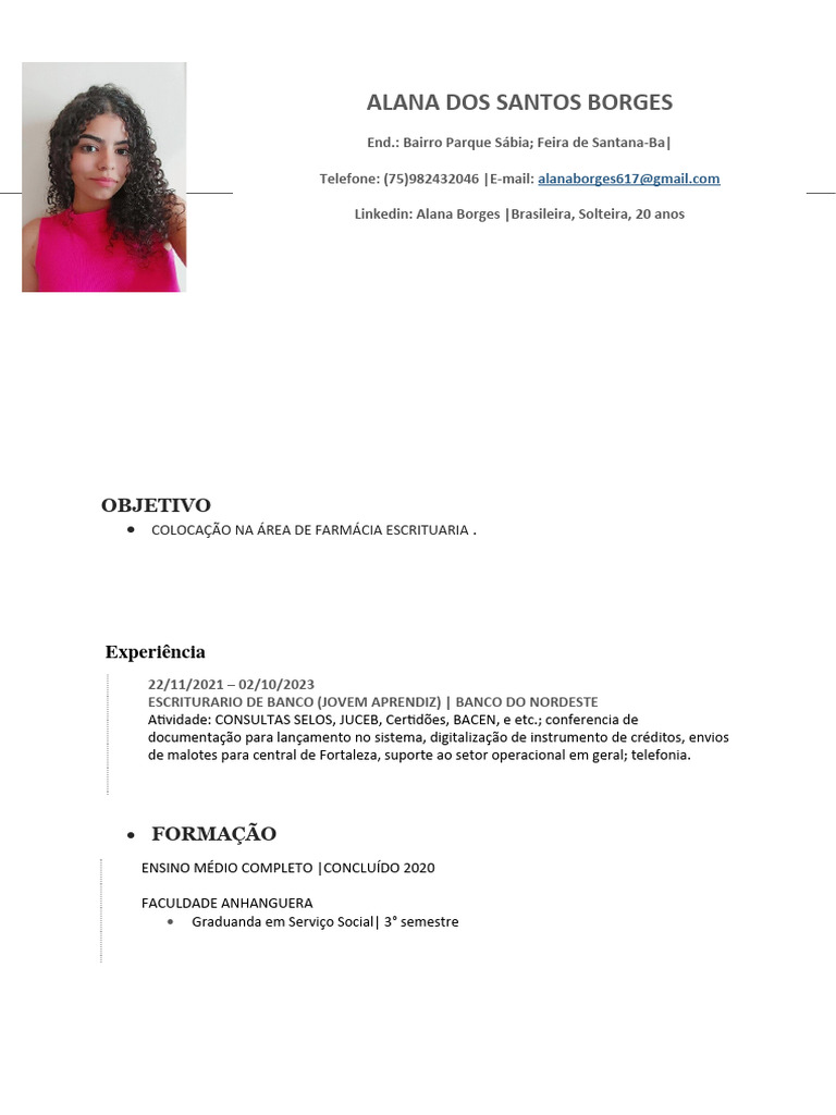 Alana Borges Currículo Ok | PDF