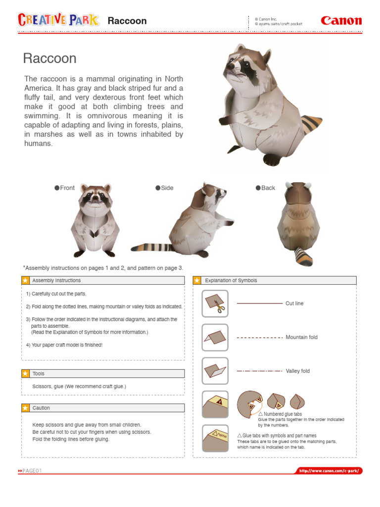 CNT 0011978 01 | PDF | Raccoon | Mammals