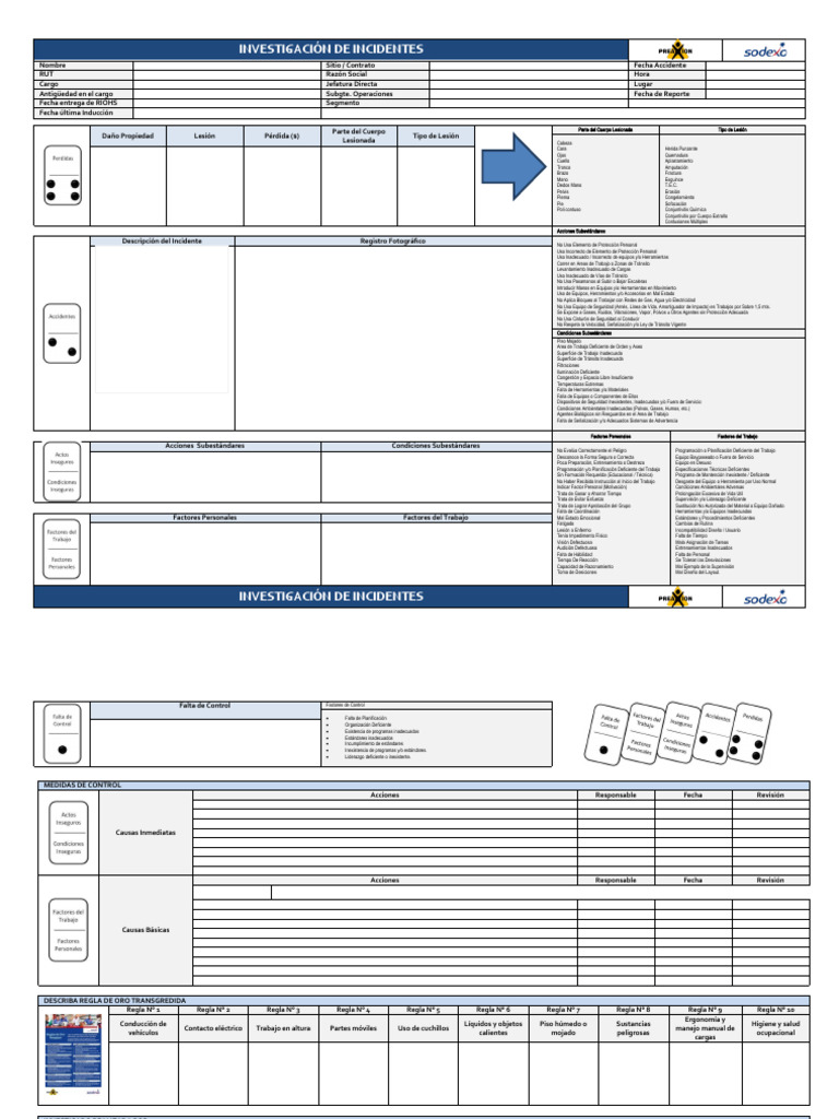 Formato Investigación de Acc. | PDF | Planificación