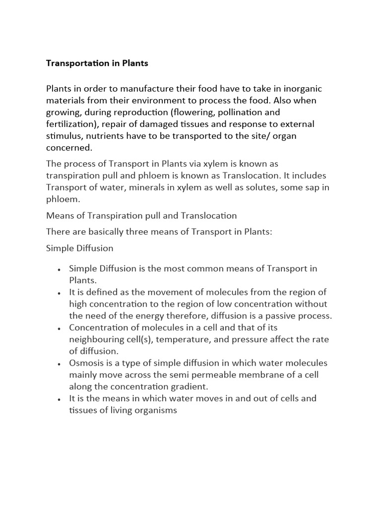 BIO 205 - Transport in Plants | PDF | Osmosis | Root