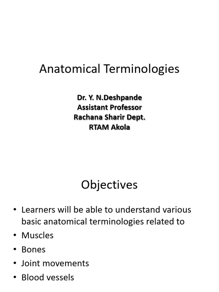 Anatomical Terminologies 108 | Download Free PDF | Anatomical Terms Of ...