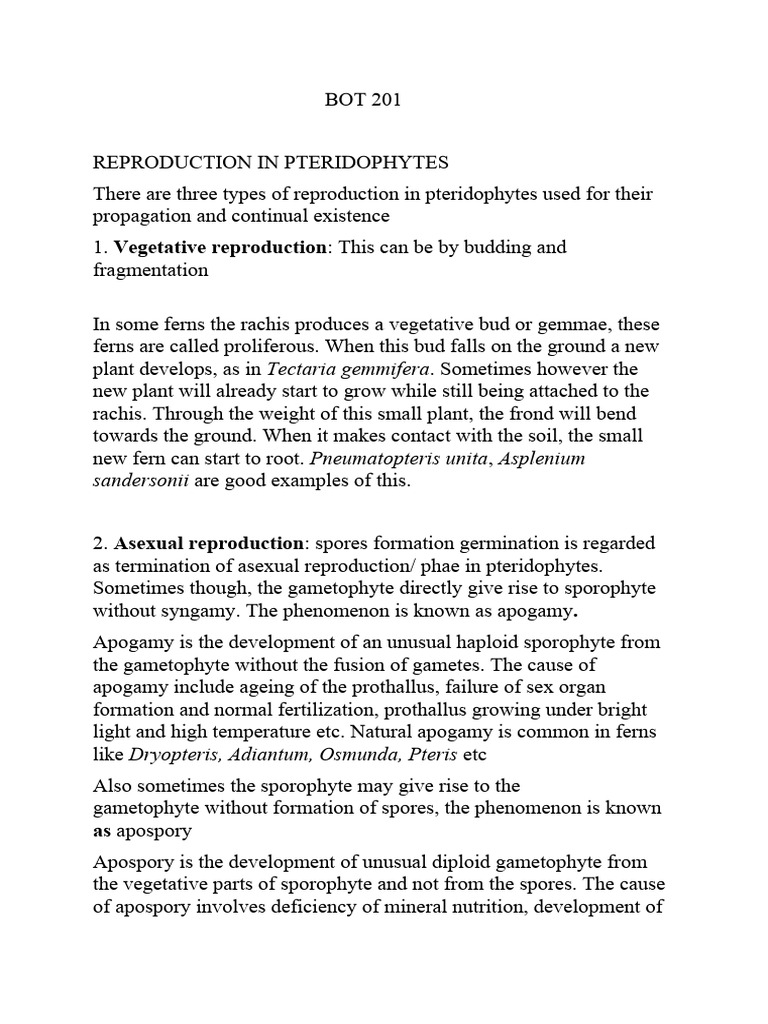 Reproduction in Pteridophytes Explained | PDF | Spore | Sexual Reproduction