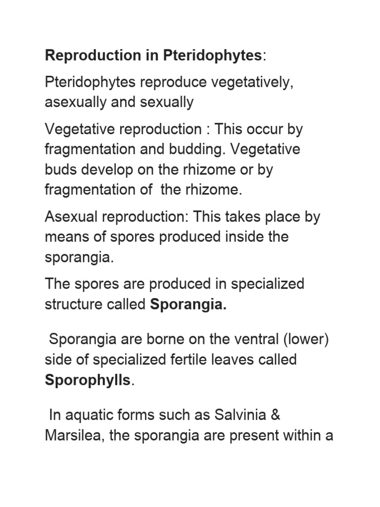 Reproduction in Pteridophytes | PDF