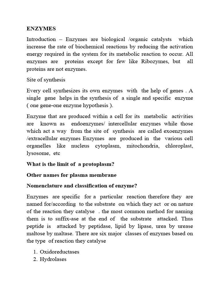 Enzymes in Plants Bio 205 22 | PDF
