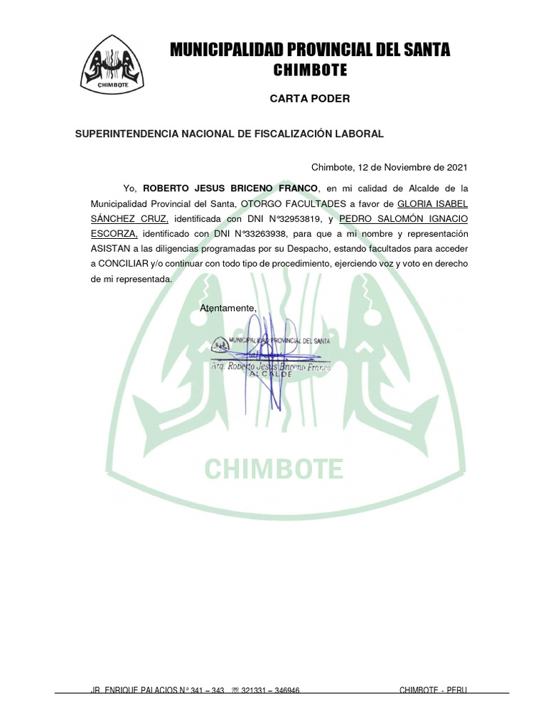 Carta Poder - Sunafil | PDF
