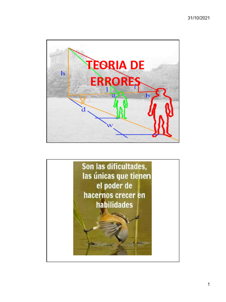 Teoria de Errores | PDF | Exactitud y precisión | Medición