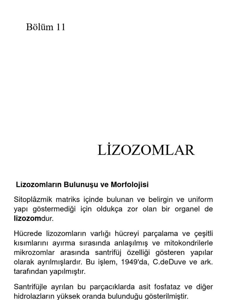 Bölüm 11 LİZOZOM | PDF