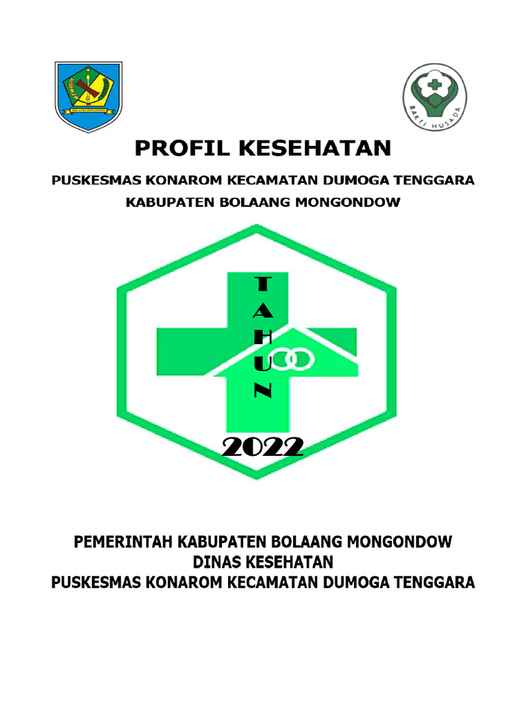 Profil Puskesmas 2022-1 | PDF